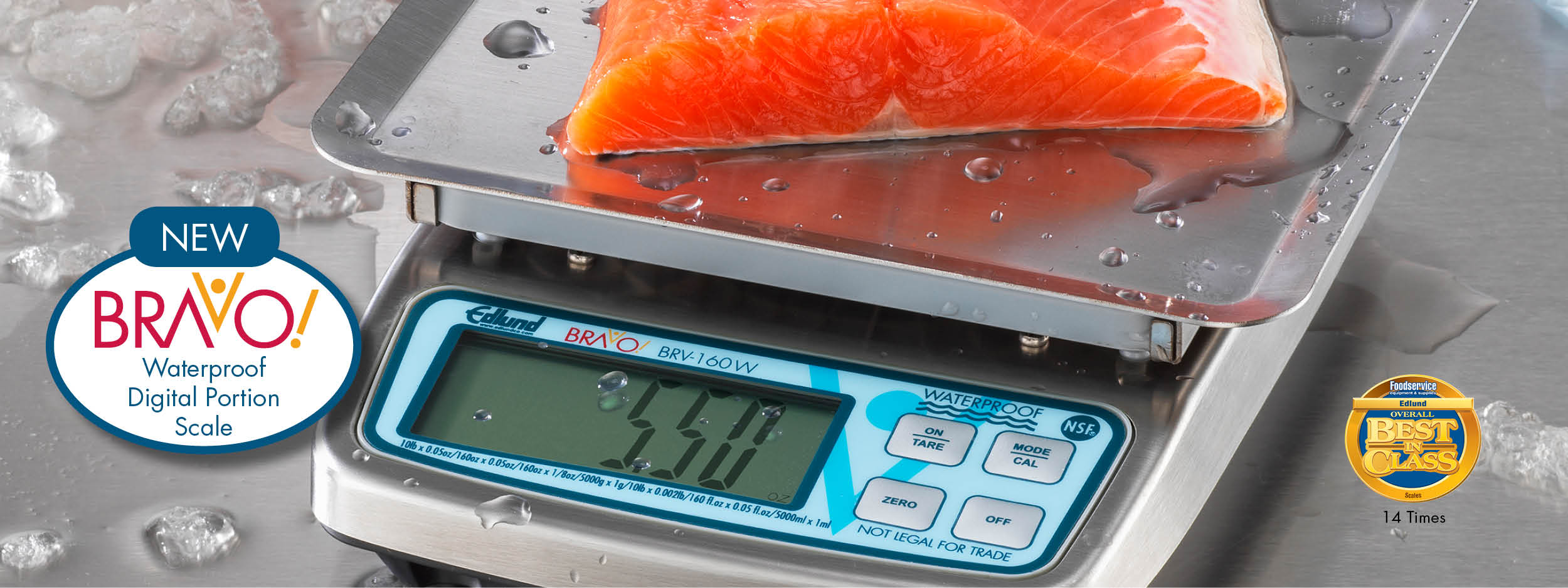 NEW! BRV-160 W Submersible Waterproof Digital Scale | Edlund