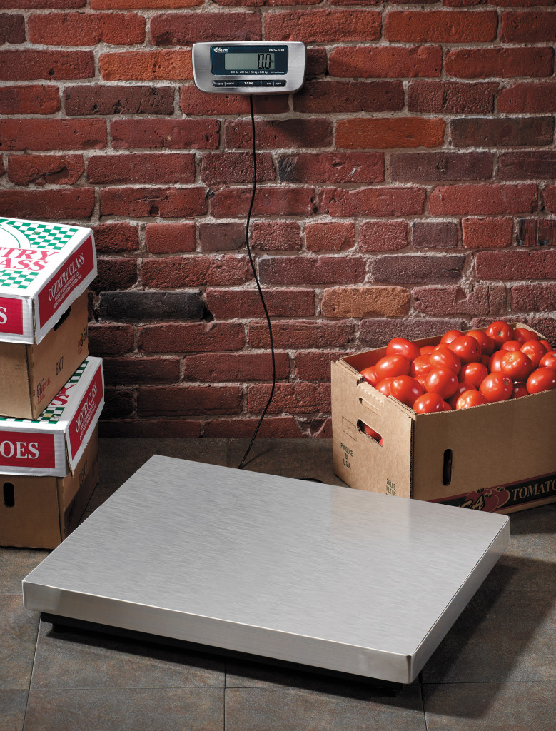 ERS Series Receiving Scales - Edlund
