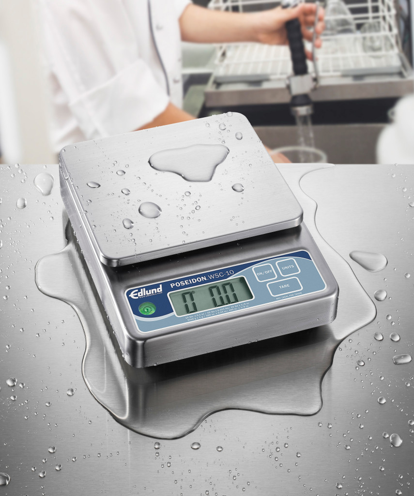 Poseidon™ Submersible Stainless Steel Portion Scale